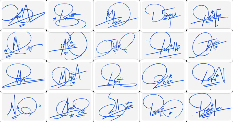 20 Professional Email Signature Examples - Online Signature Styles